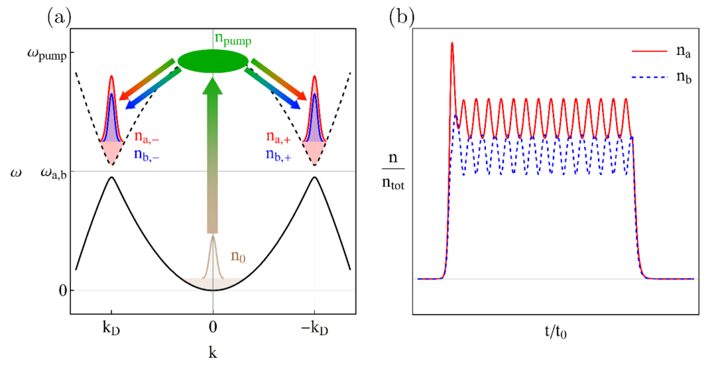 Highlights – Theoretical Quantum Matter